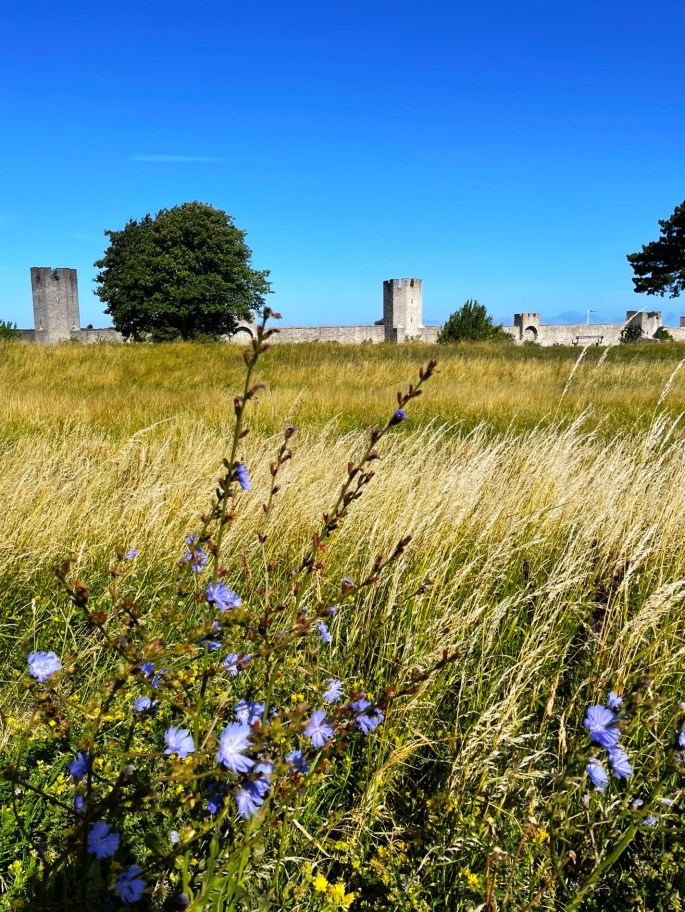 Visby – Wo Pippi Langstrumpf ihre Bonbons kauft – Travicto