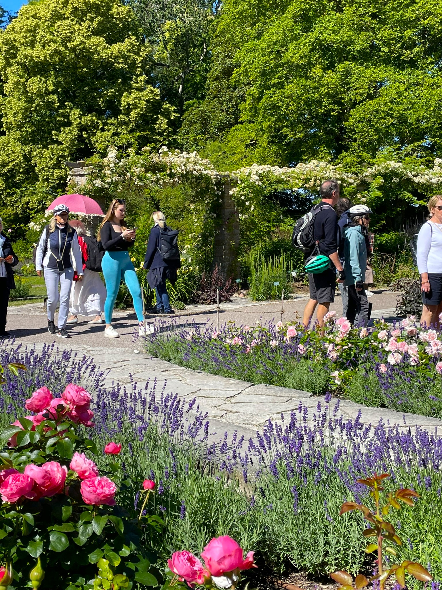 Visby – Wo Pippi Langstrumpf ihre Bonbons kauft – Travicto